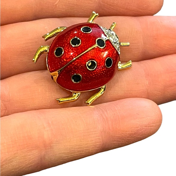 dorlan | Jewelry | Vintage 99s Dorlan Crystal Enameled Lady Bug Brooch ...
